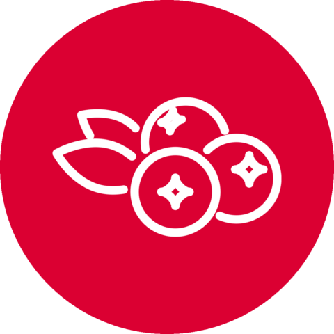 Blueberry Cottage Doubles | Breakstone's