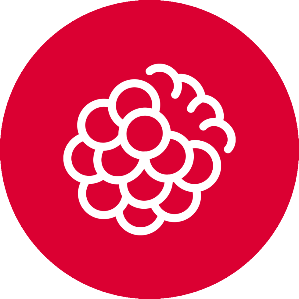 Pineapple Cottage Doubles | Breakstone's